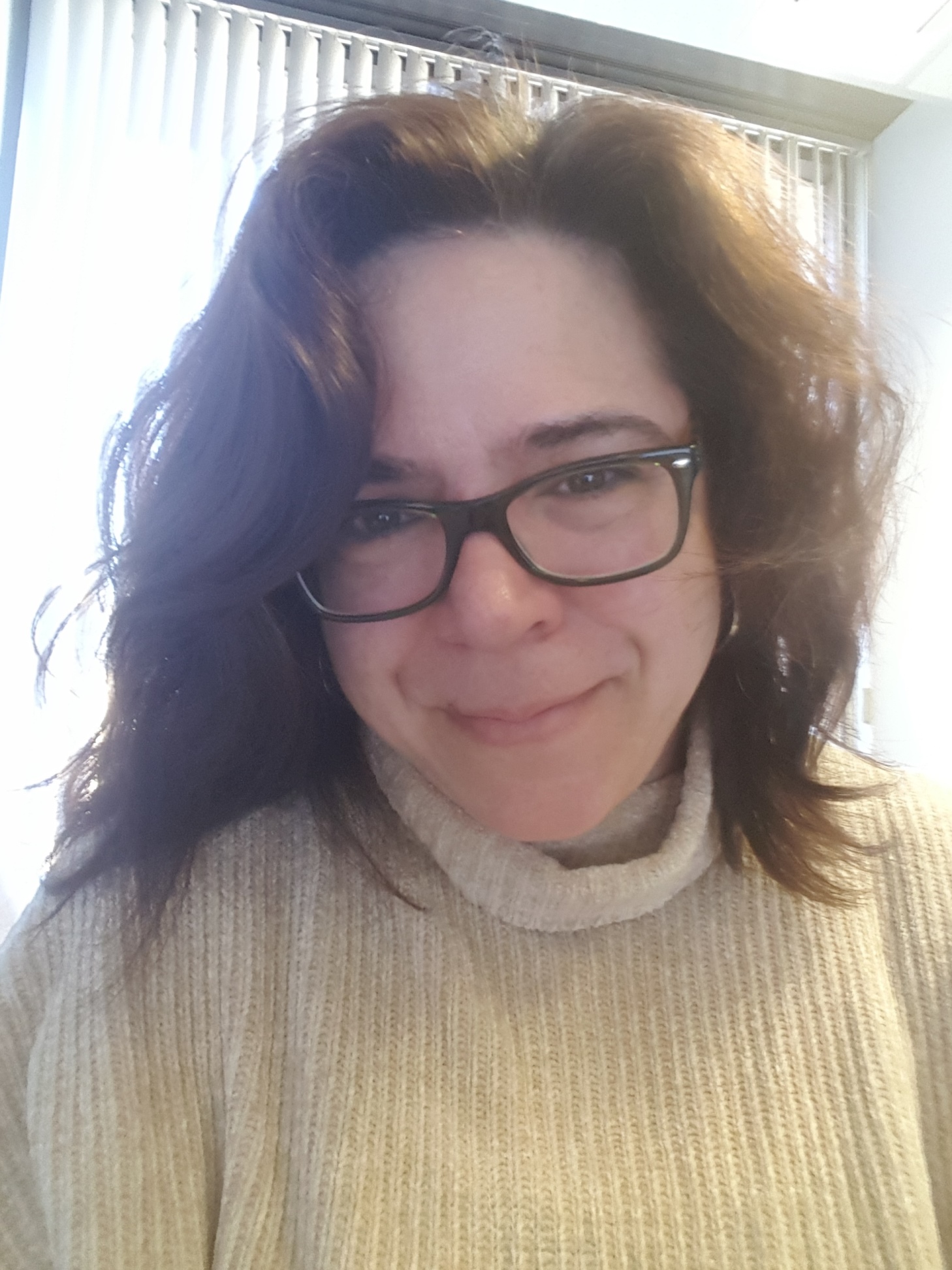 2017 Toronto Plenary